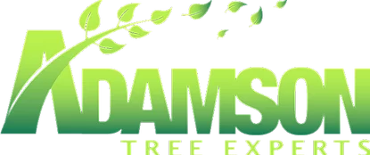 About Us – Adamson Tree Experts : Experts in Your Tree Care